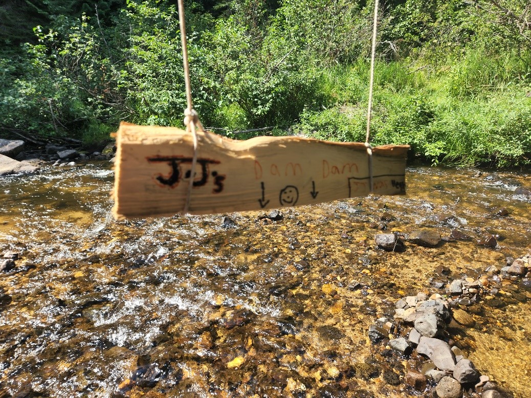 Artificially created dams create barriers to fish passage | Idaho Fish ...