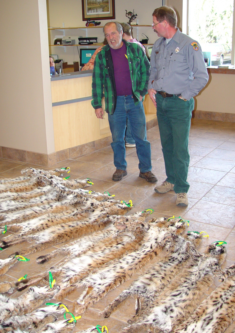 Bobcat check-in on Feb. 25 in Grangeville | Idaho Fish and Game
