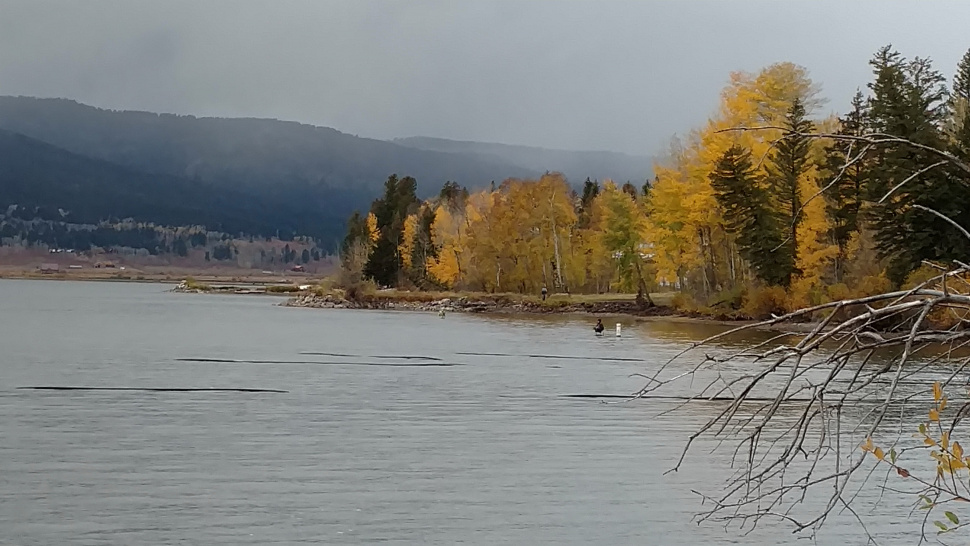 Henrys Lake in the Fall | Idaho Fish and Game