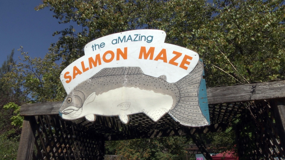 Connecting Kids and Salmon at the MK Nature Center | Idaho Fish and Game