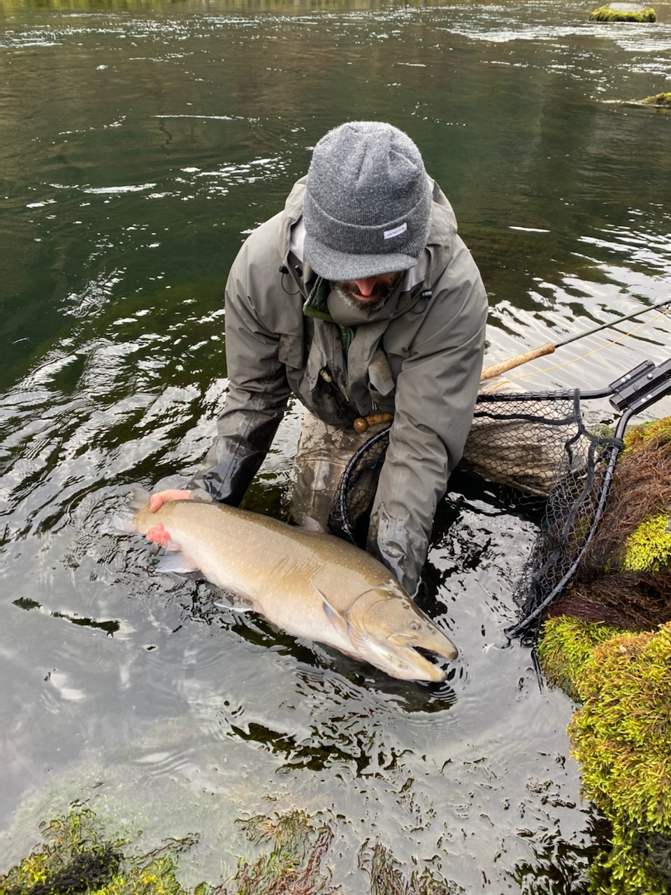 The Complexities of Idaho's Bull Trout | Idaho Fish and Game