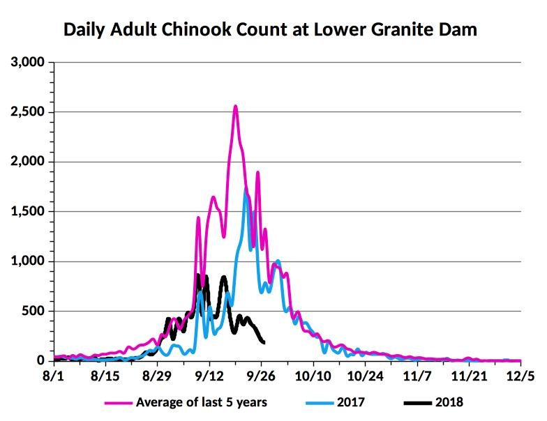 Chinook Counts - Bonneville/Lower Granite Dams | Idaho Fish and Game