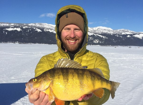 World Record Yellow Perch
