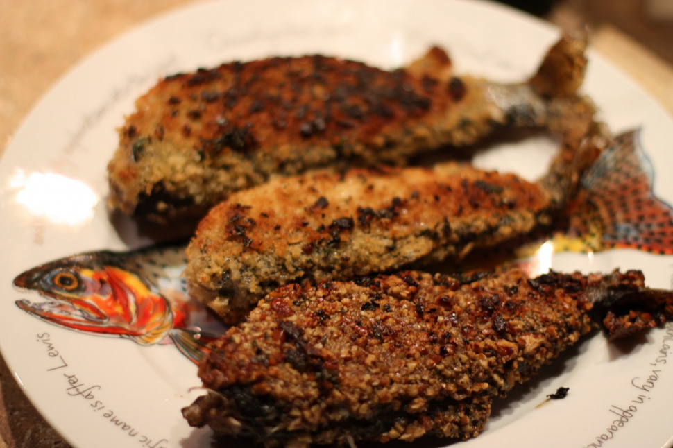 Learn how to cook a classy wild game meal of your own | Idaho Fish and Game