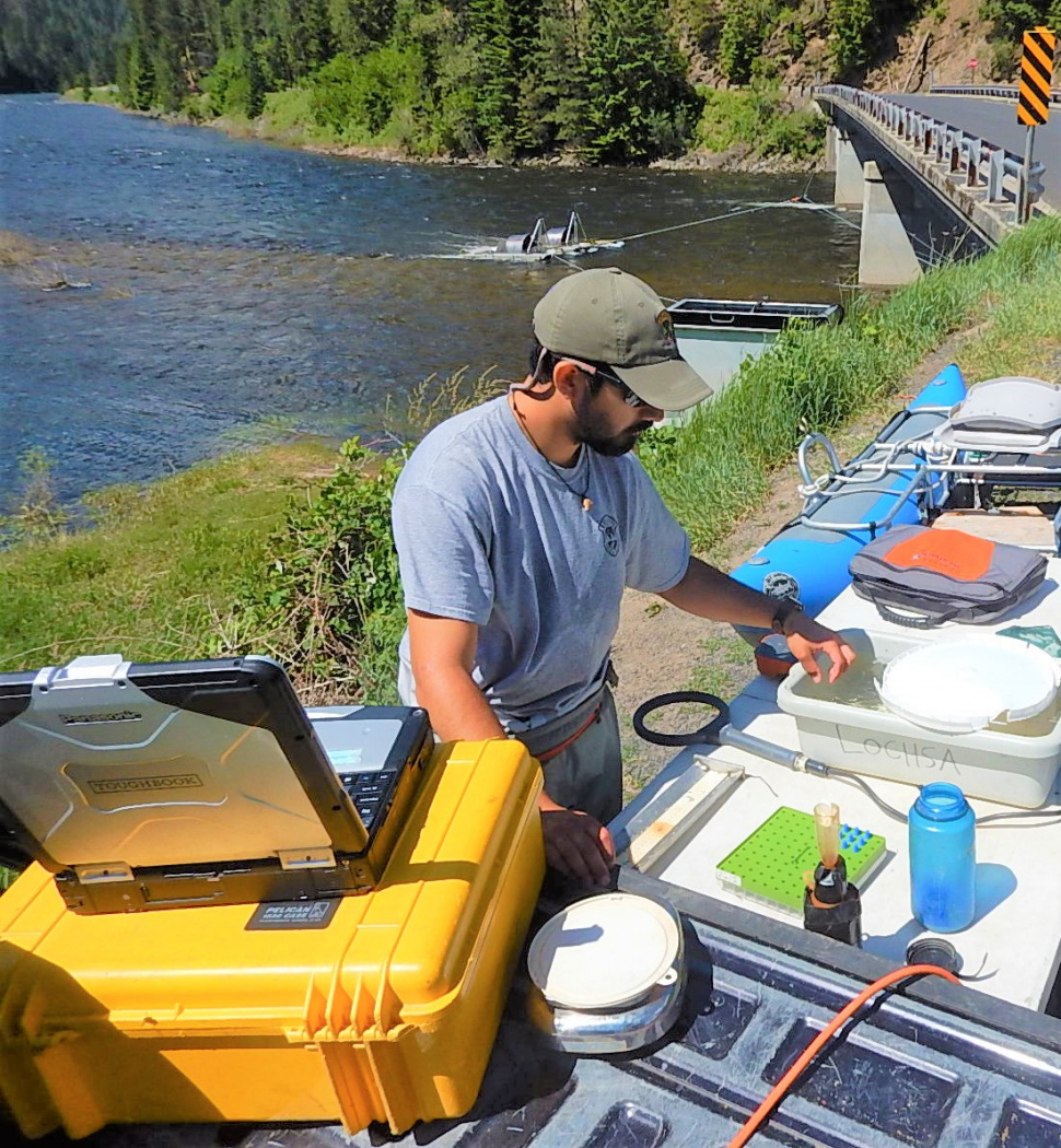 What biologists learn as the screw trap turns and captures fish | Idaho ...