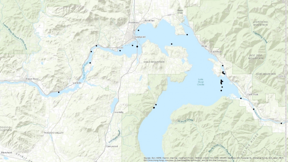 Lake Pend Oreille Walleye Telemetry Update | Idaho Fish and Game