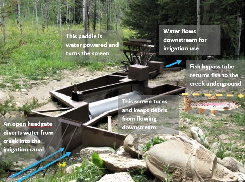 Providing Safe Fish Passage at Irrigation Diversions is Critical to ...