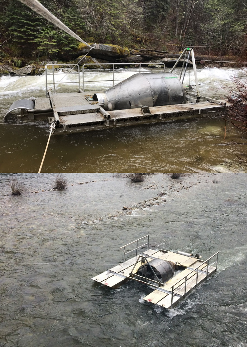 What biologists learn as the screw trap turns and captures fish | Idaho ...