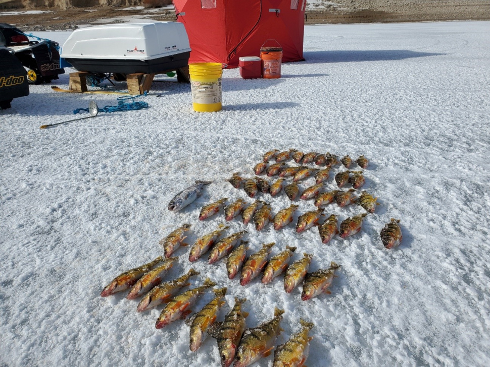 Mixed Bag on Ice-Idaho's Ririe Reservoir - The Fishing Wire