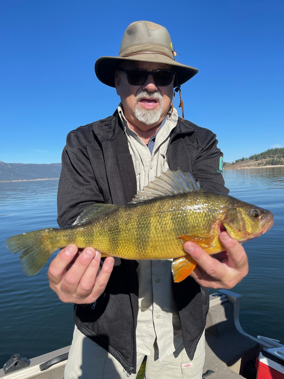 Forecast looks promising for perch fishery in Lake Cascade | Idaho Fish ...
