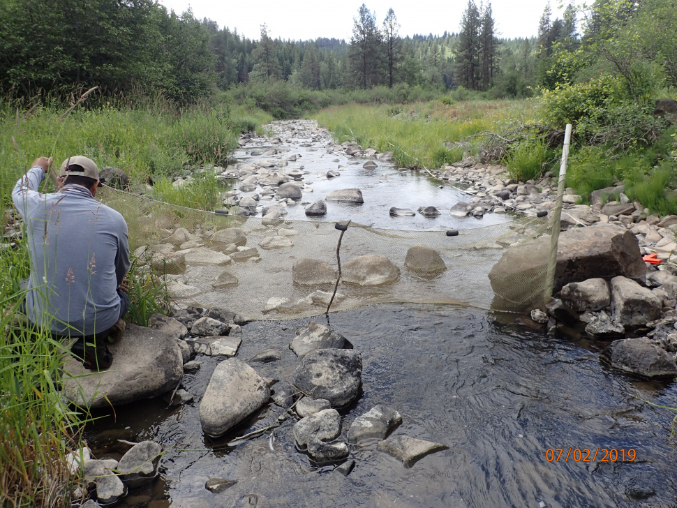 Preparing for electrofishing | Idaho Fish and Game