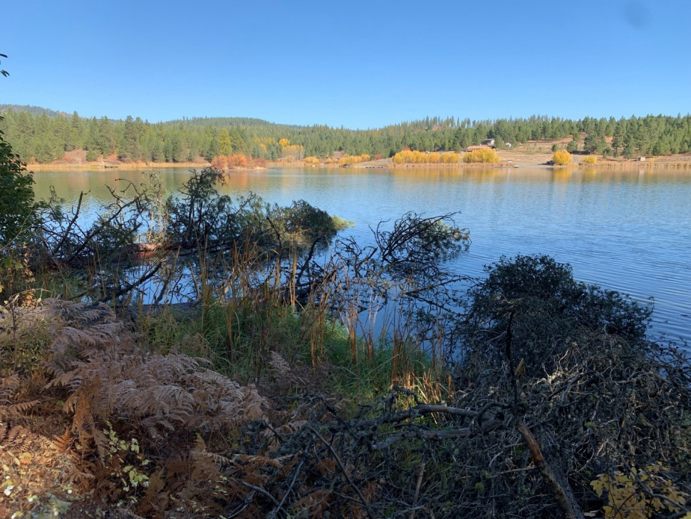 F&G tries new strategy to increase bass size at Spring Valley Reservoir ...