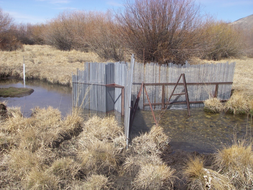 'Fences' in streams are picket weirs that help biologists survey salmon ...