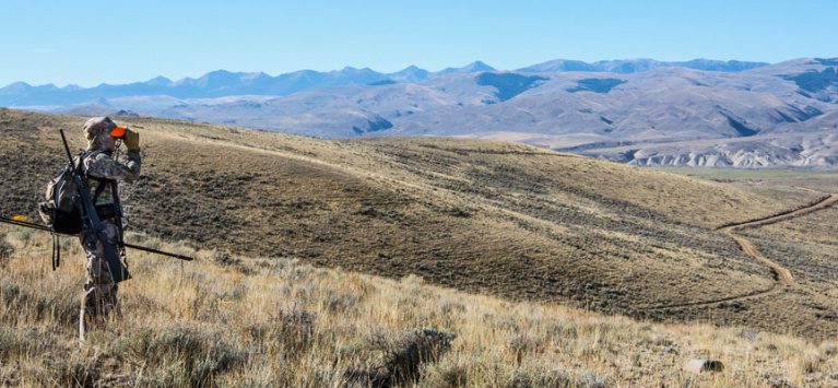 Hunting | Idaho Fish and Game