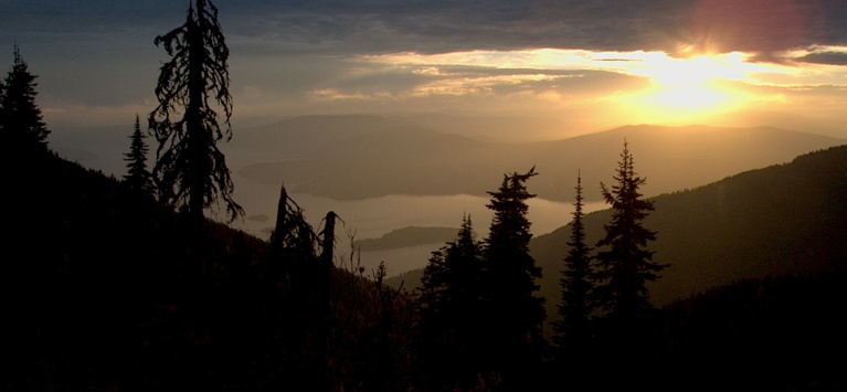 Clark Fork Delta Restoration | Idaho Fish and Game