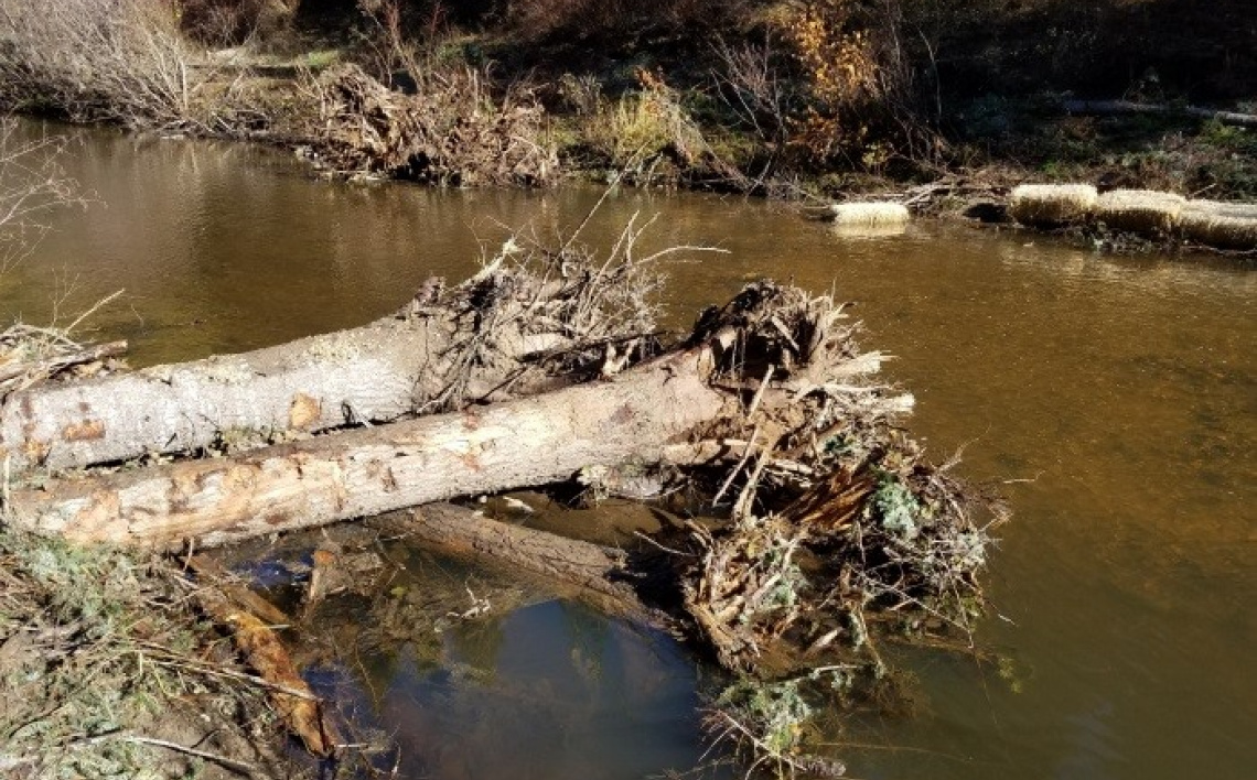 Steelhead Habitat Restoration on the East Fork Potlatch River | Idaho ...