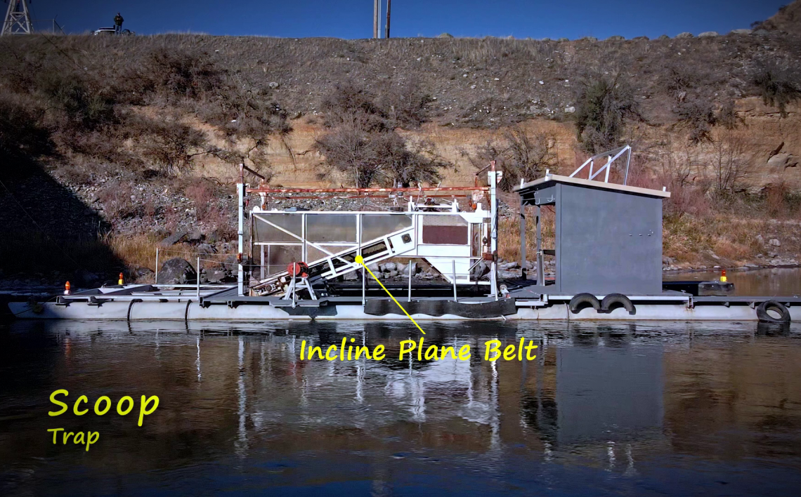 Smolt Monitoring Project Week 4: Salmon River Scoop Trap | Idaho Fish ...