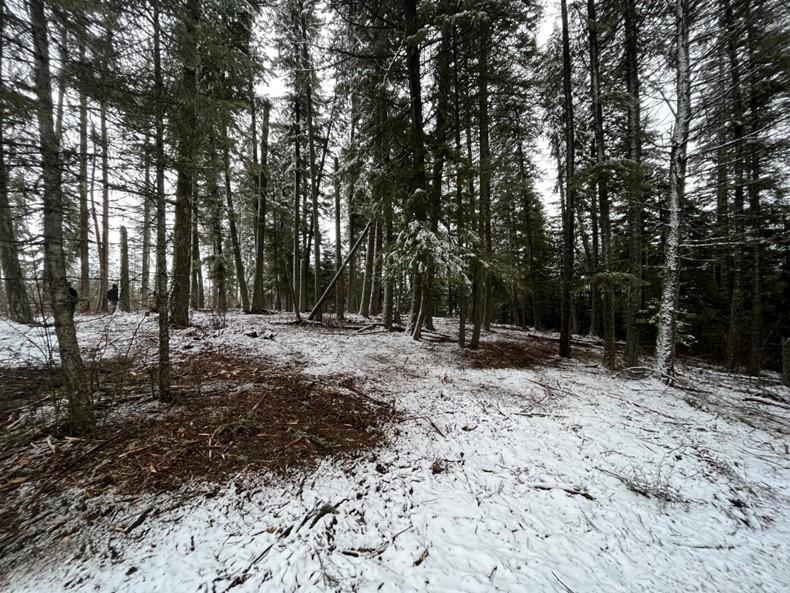 Winter forest health project completed at Little Boulder near Helmer ...