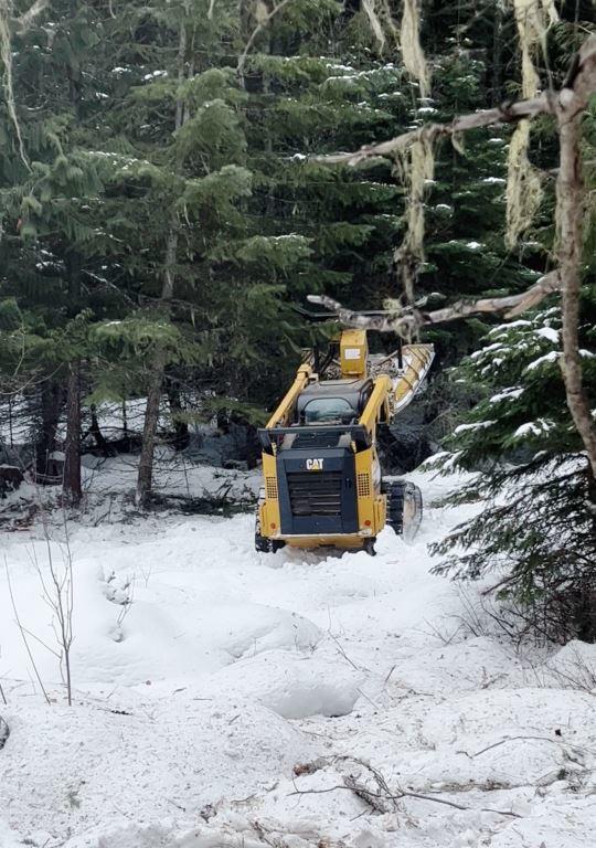 Winter forest health project completed at Little Boulder near Helmer ...