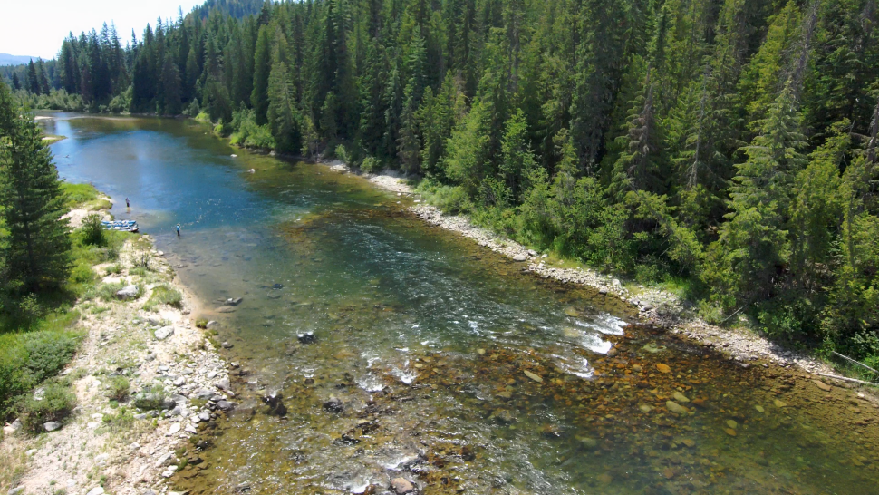 Priest River Coldwater Bypass Concept Science and Research | Idaho Fish ...