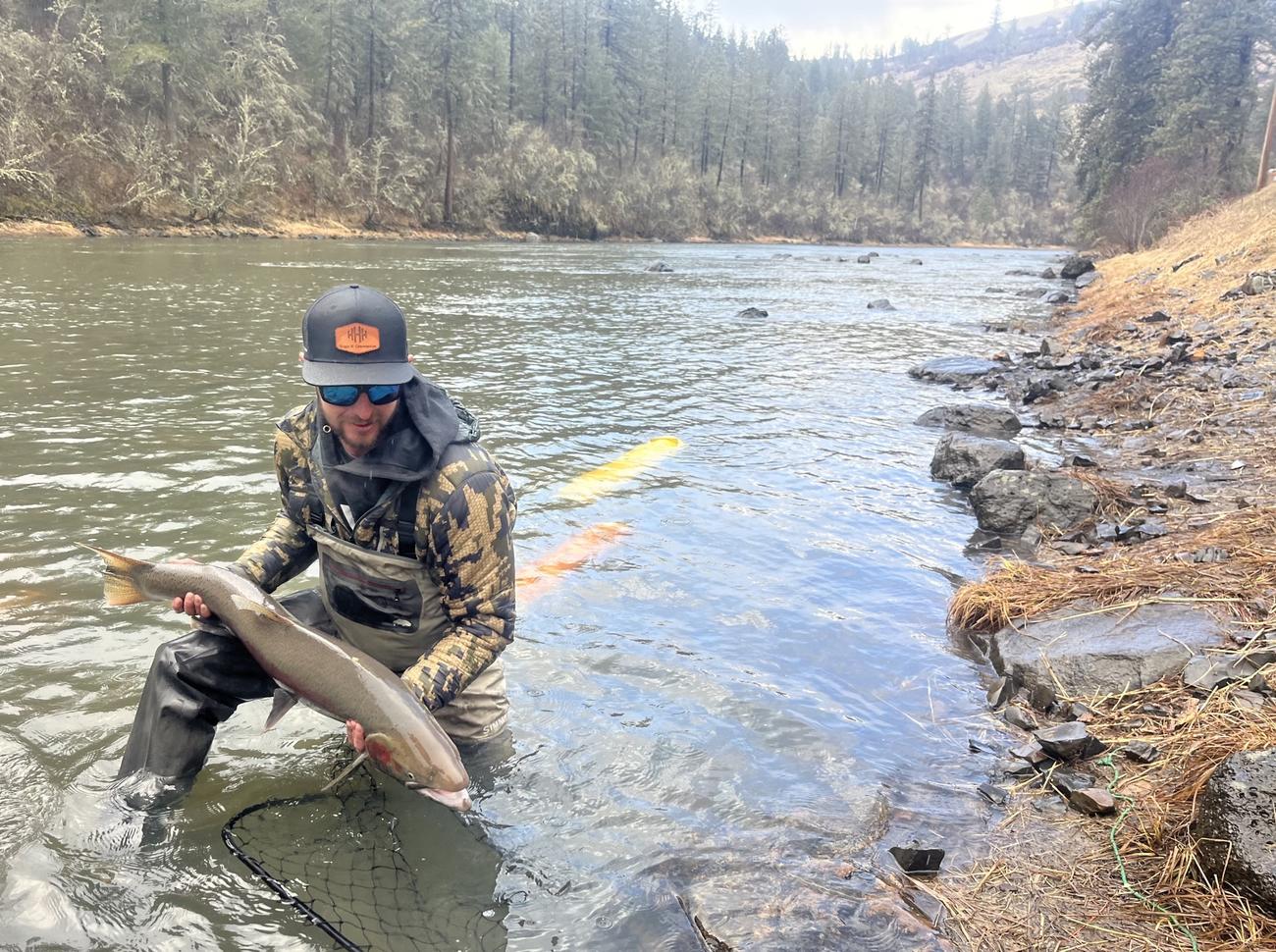 Another year of South Fork steelhead broodstock collection success ...