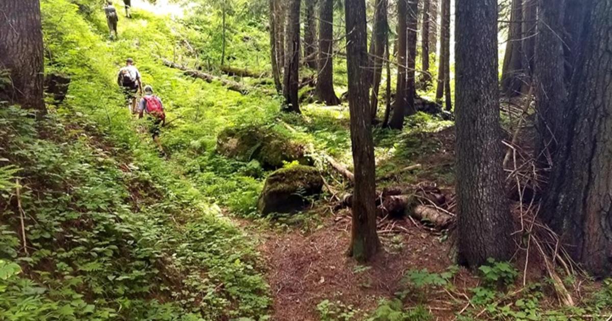 Recent Trail Maintenance on Snow Peak WMA | Idaho Fish and Game