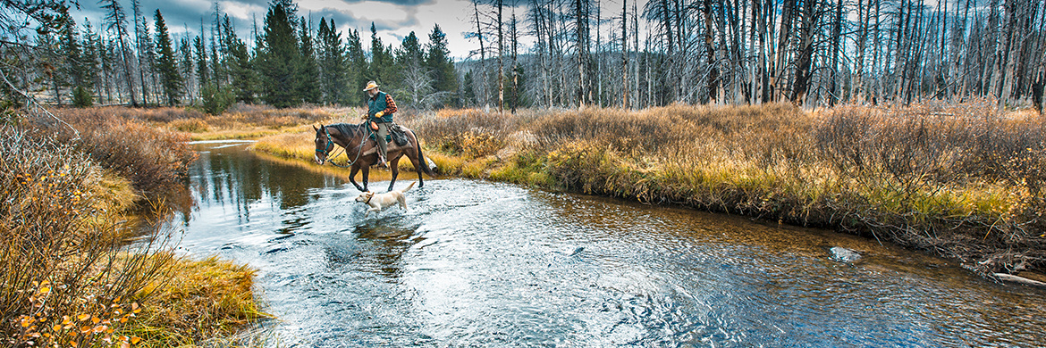 Idaho Fish and Game | Idaho Fish and Game