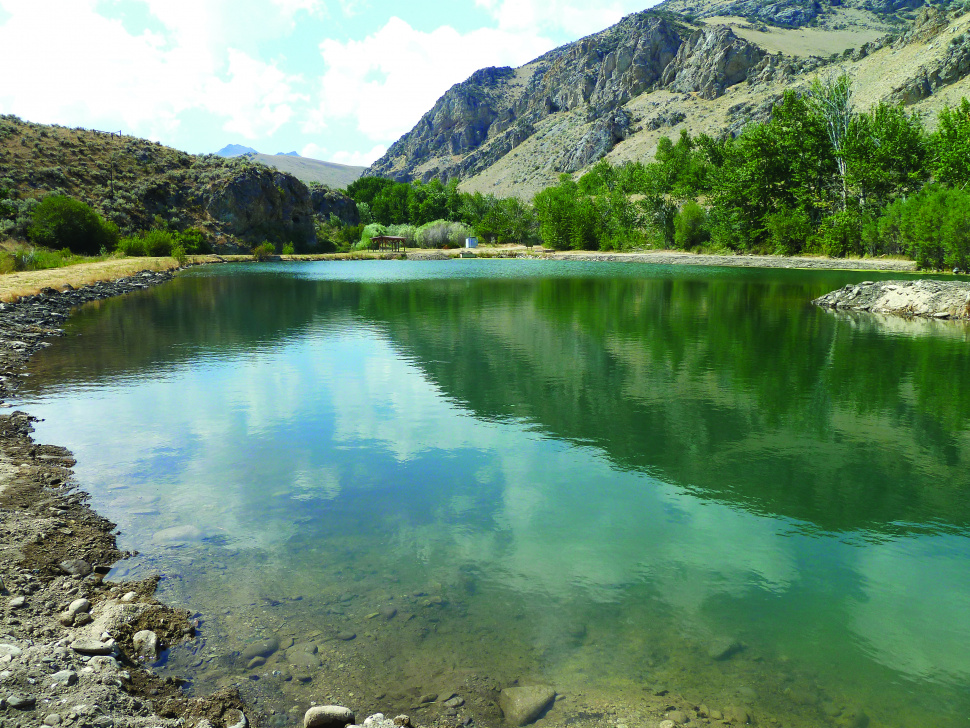 Jack Chinook salmon stocked in Hayden Pond | Idaho Fish and Game