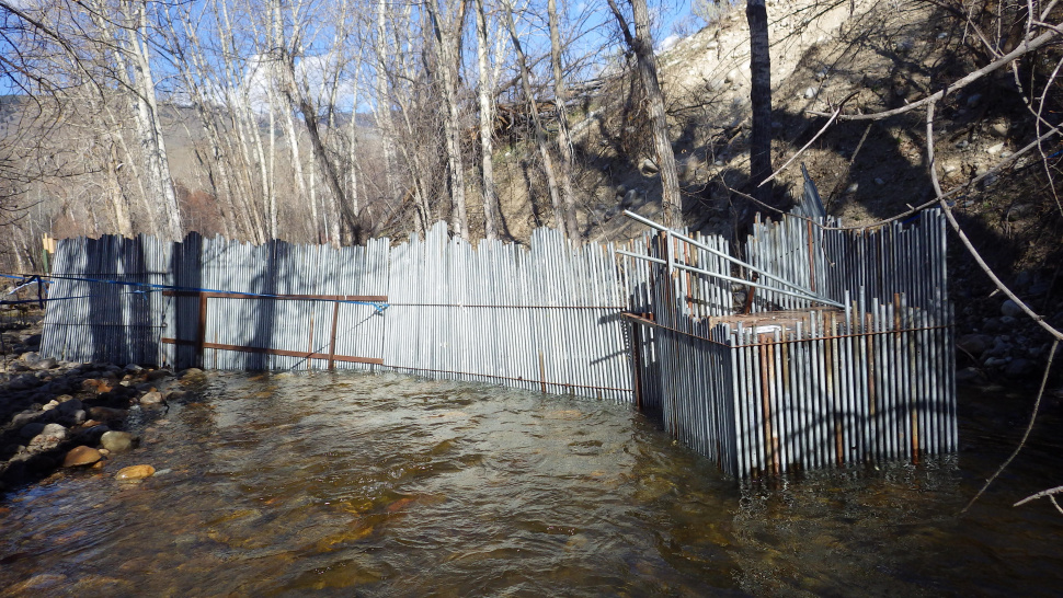 Spring fever? Fight winter woes with field work! | Idaho Fish and Game