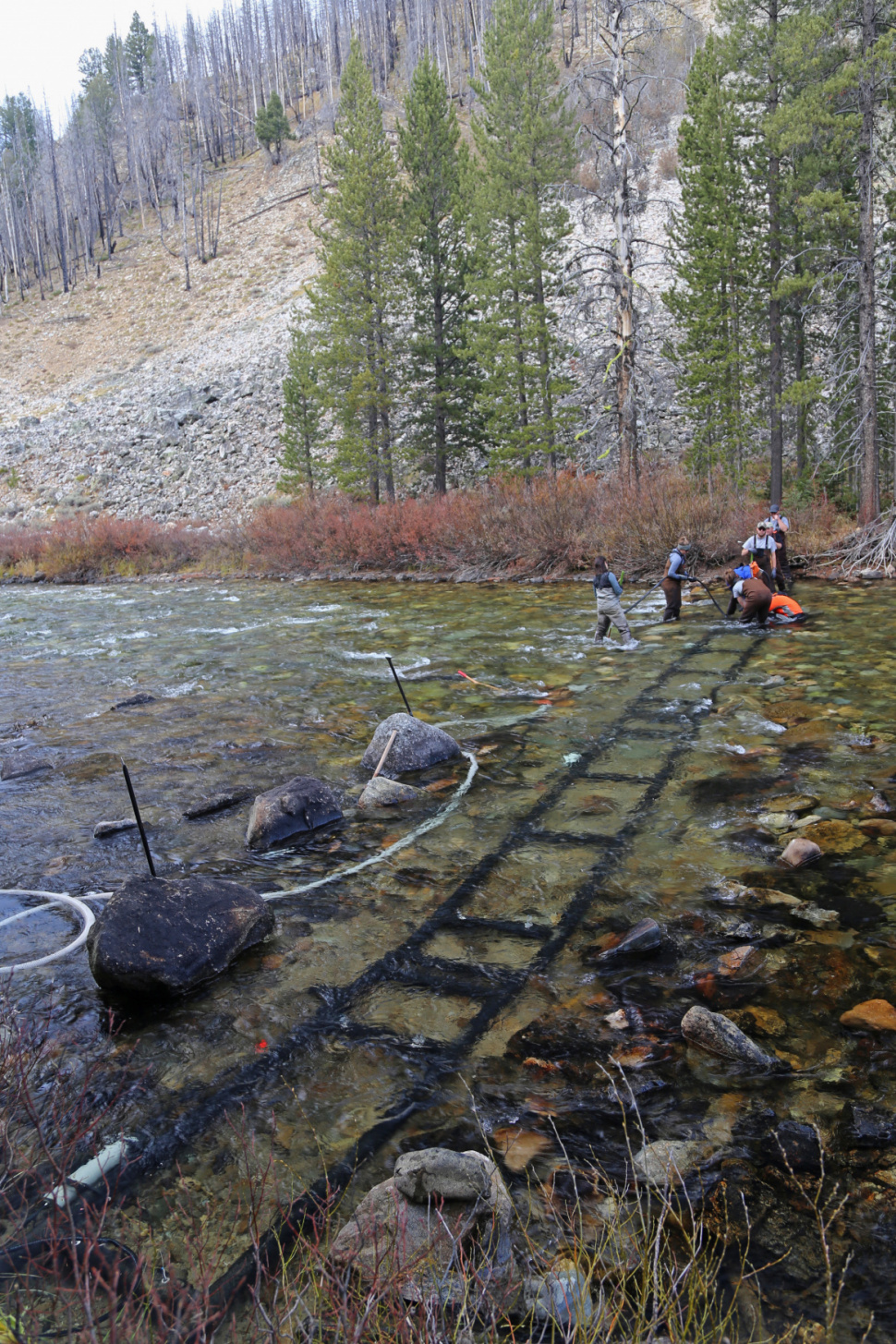 F&G biologists track wild Chinook as they journey back to Marsh Creek ...