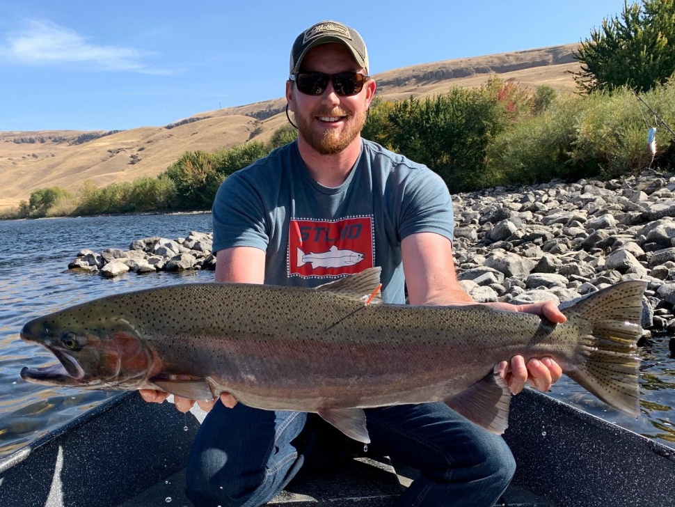 Understanding Idaho's Steelhead Fishery - U of I study update | Idaho ...