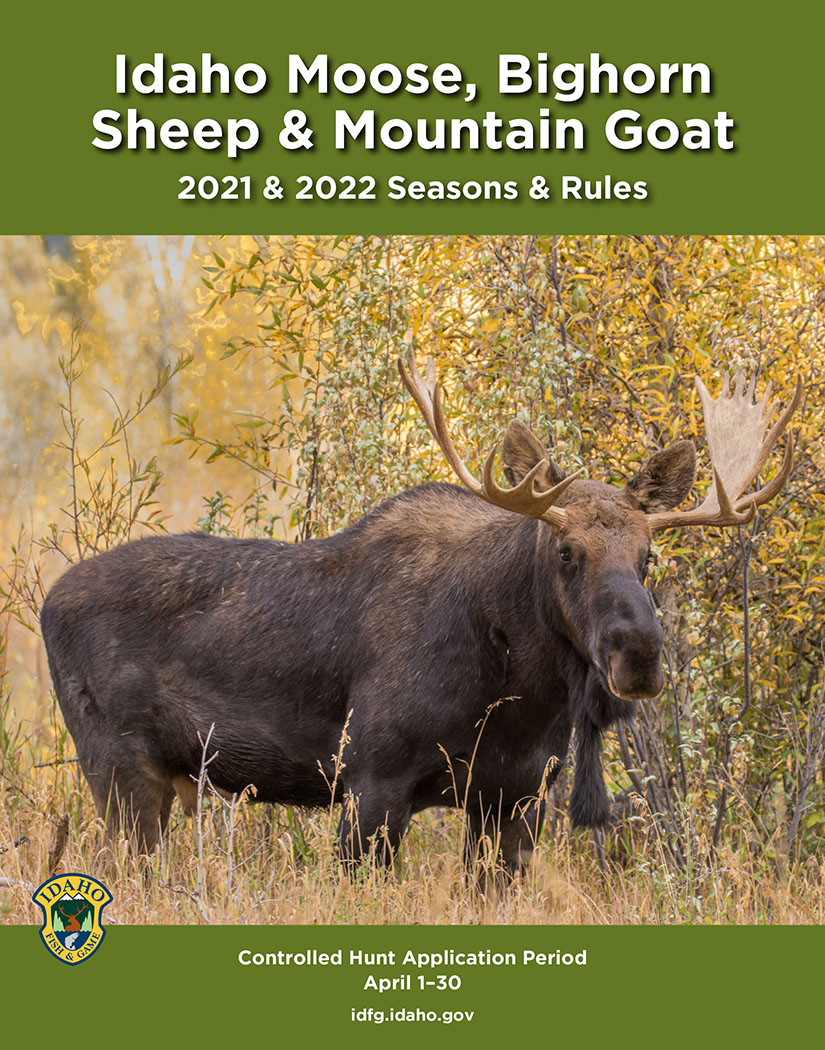 Moose, Bighorn Sheep and Mountain Goat Seasons and Rules | Idaho Fish ...