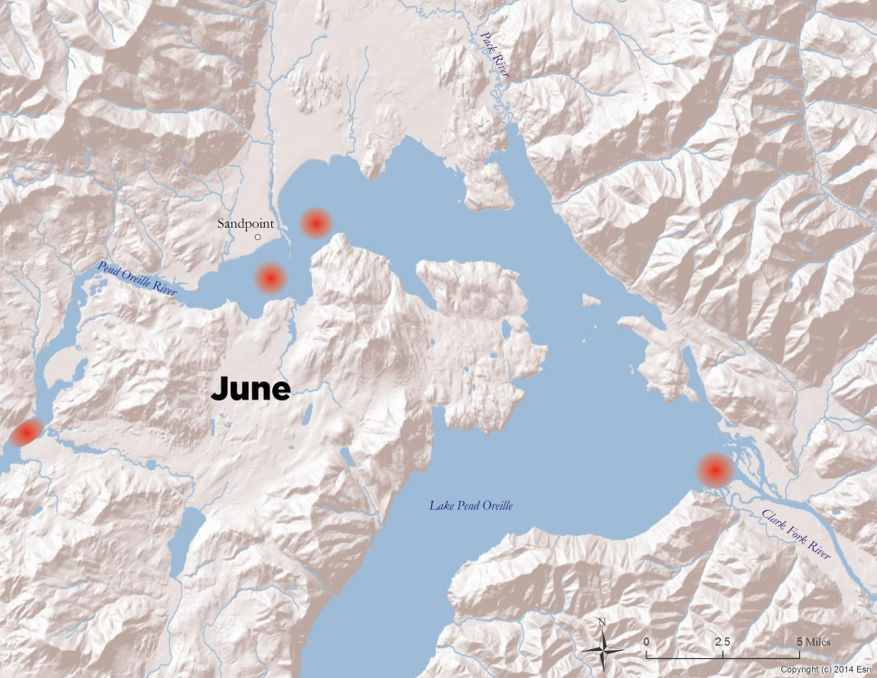 Walleye locations in Lake Pend Oreille, June 2020 | Idaho Fish and Game