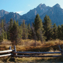 Elk hunting | Idaho Fish and Game